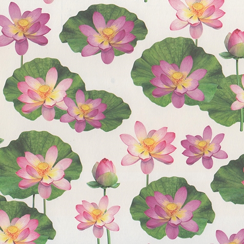 Tassotti Paper- Lotus Flower 19.5x27.5 Inch Sheet