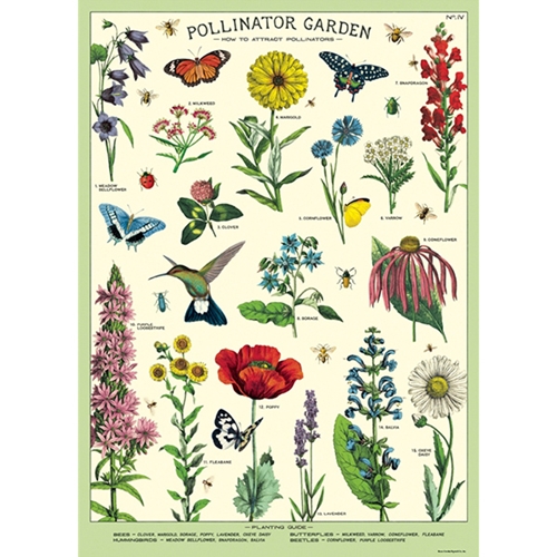 *NEW!* Cavallini Decorative Paper - Pollinators 20"x28" Sheet