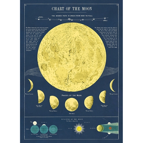Cavallini Decorative Paper - Moon Chart 20"x28" Sheet