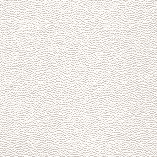 Embossed Glossed Pebbled - White 22x28" Sheet