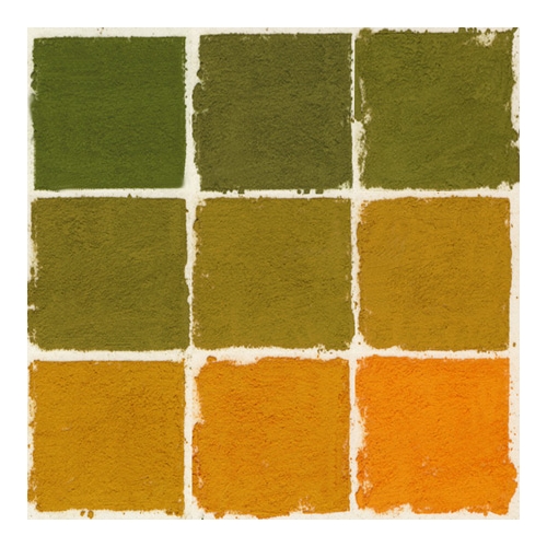 Roche Pastel Values Sets of 9 - Green Graduated Orange 5290 Series